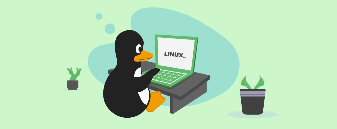27 činjenica koje niste znali o Linuxu - Mint Hosting